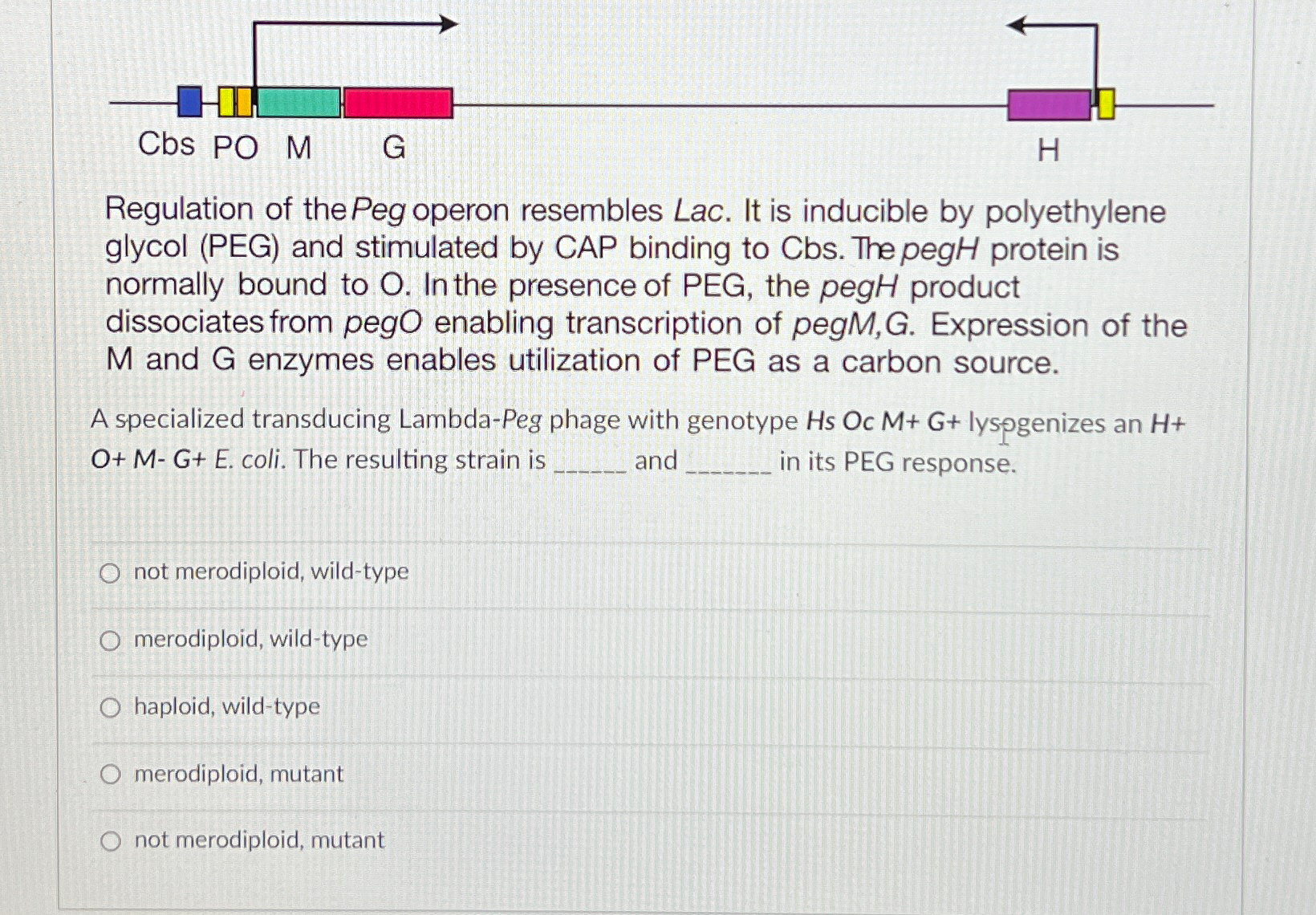 Solved Regulation of the Peg operon resembles Lac. It is | Chegg.com