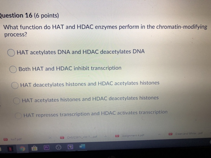 Solved Question 16 (6 points) What function do HAT and HDAC | Chegg.com