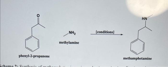 Solved NH2 methylamine phenyl-2-propanone methamphetamine | Chegg.com