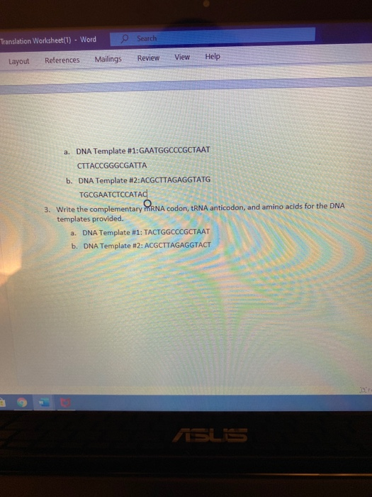 Solved Anslation Worksheet 1 Word E Search Layout