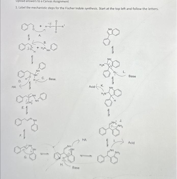Label the mechanistic steps for the Fischer Indole | Chegg.com
