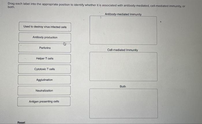Solved Drag each label into the appropriate position to | Chegg.com