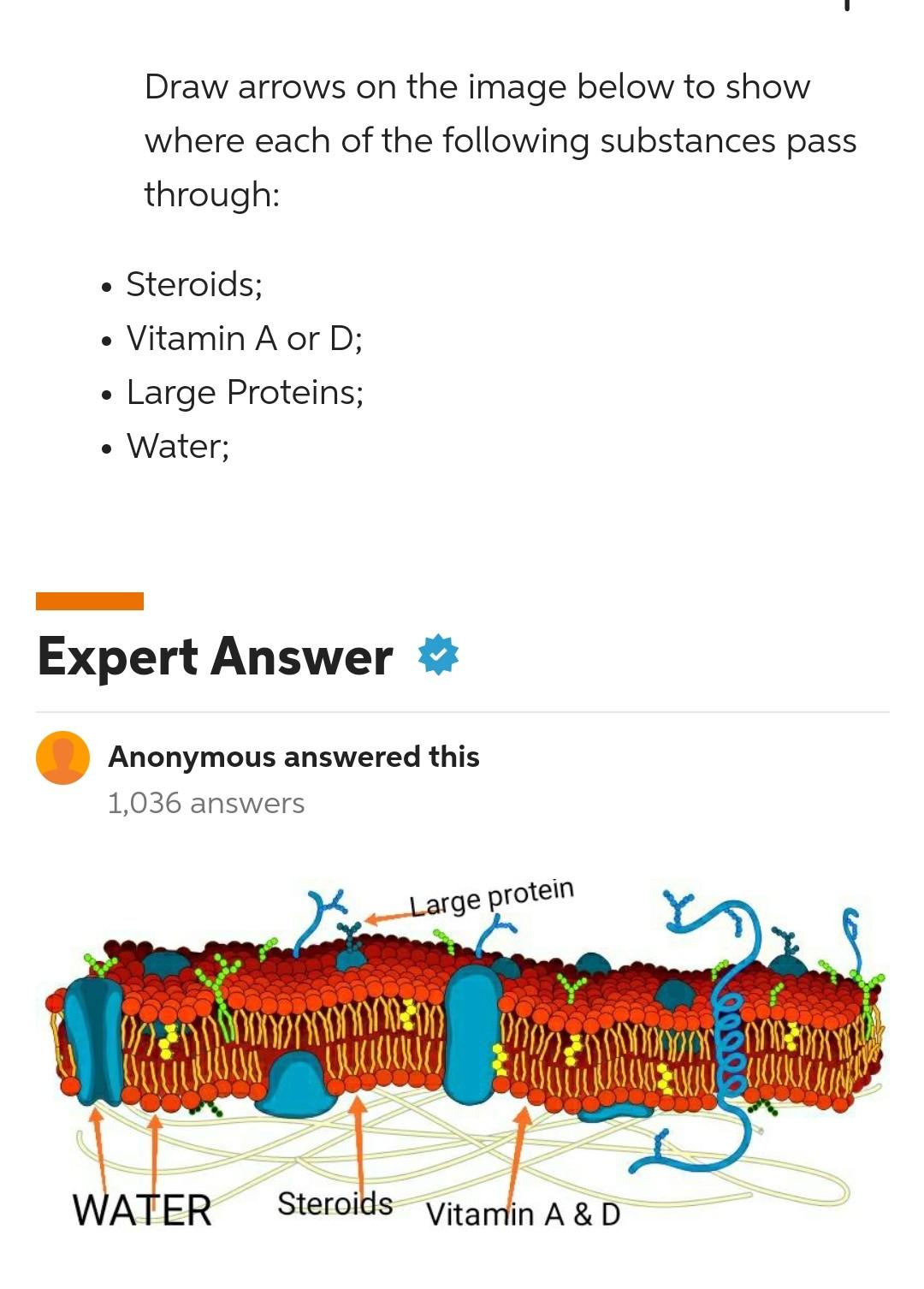 Solved Draw arrows on the image below to show where each of | Chegg.com