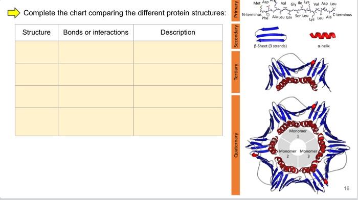 Solved Complete the chart comparing the different protein | Chegg.com