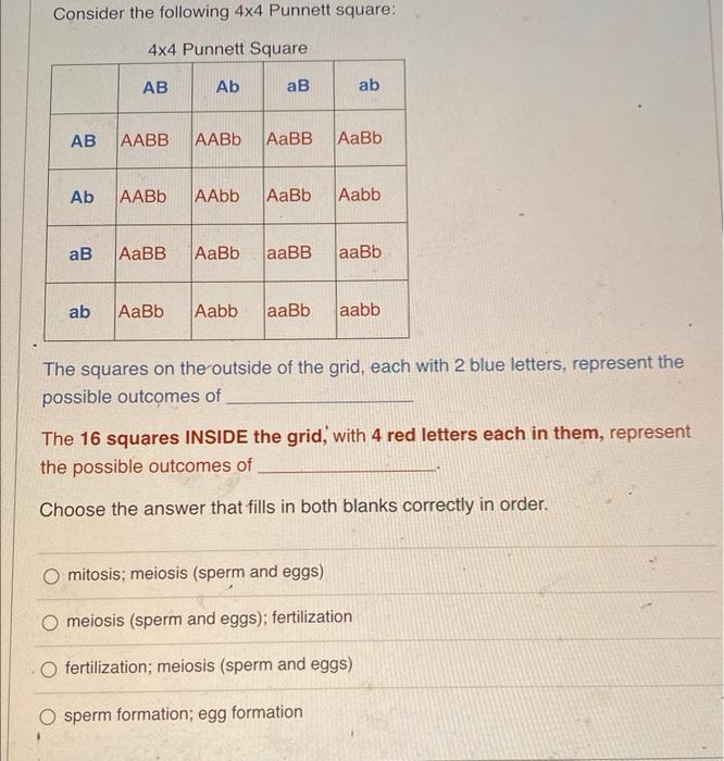 Solved Consider the following 4×4 Punnett square: The | Chegg.com