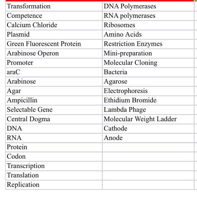 Solved Transformation Competence Calcium Chloride Plasmid | Chegg.com