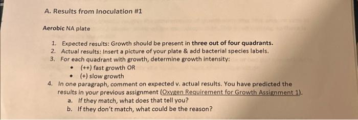 A. Results from Inoculation #1 Aerobic NA plate 1. | Chegg.com