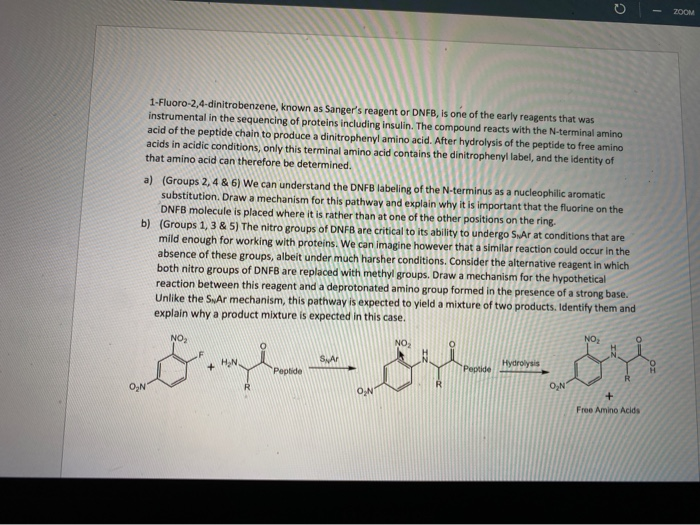 Solved - ZOOM 1-Fluoro-2,4-dinitrobenzene, known as Sanger's | Chegg.com