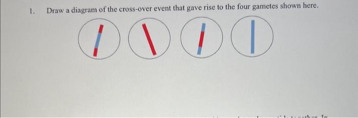 Solved Draw a diagram of the cross-over event that gave rise | Chegg.com