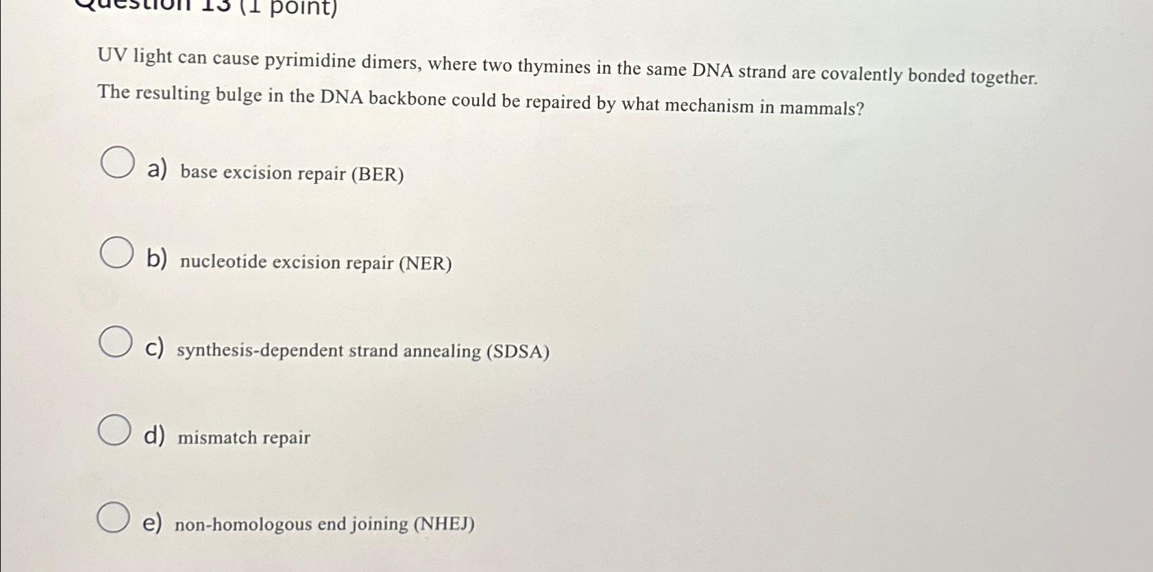 Solved UV light can cause pyrimidine dimers, where two | Chegg.com