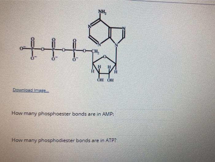 Solved ŅH, th H н H OH OH Download Image How many | Chegg.com