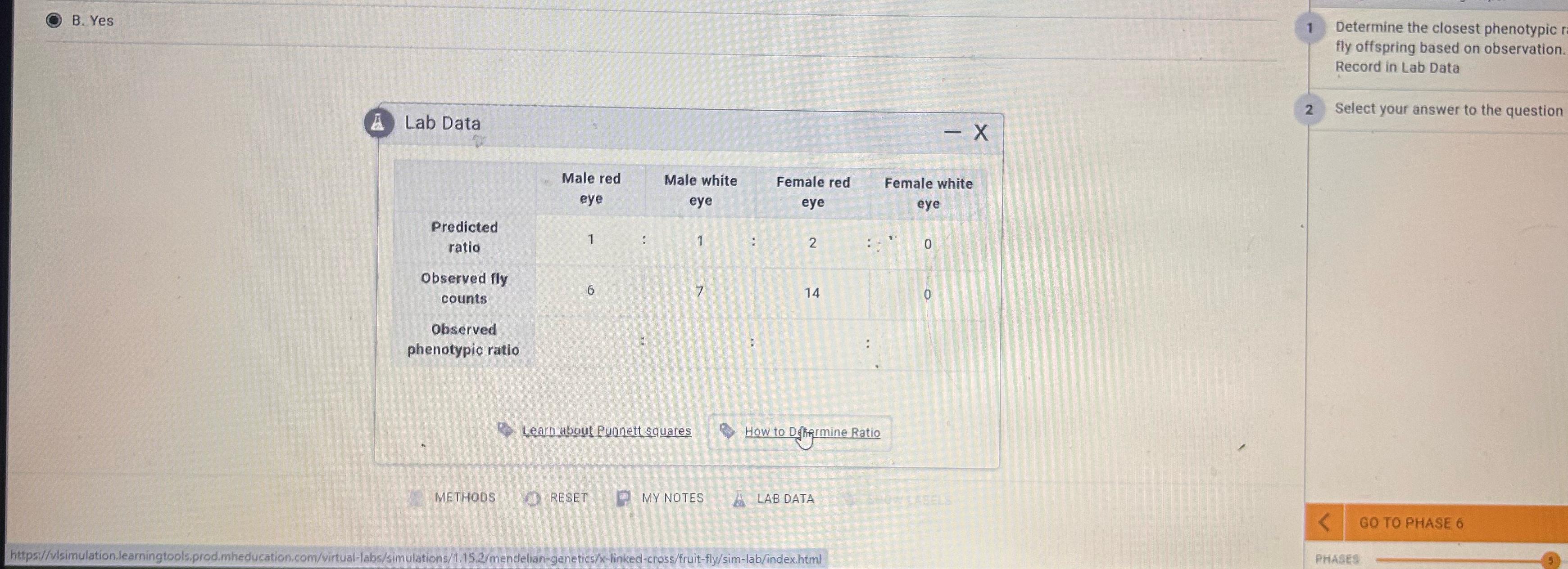 Solved 1 ﻿Determine the closest phenotypic r ﻿fly offspring | Chegg.com
