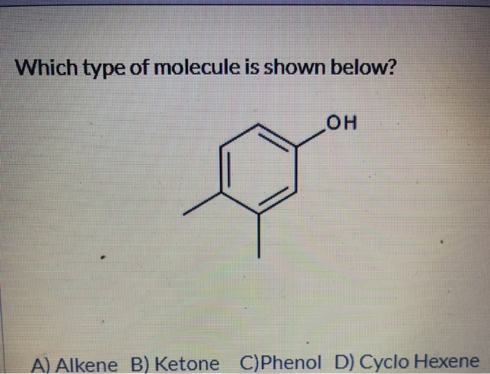 Solved -CH₃ H3CN CH3 What type of amine is shown in this | Chegg.com