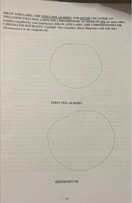 Solved DRAW AND LABEL THE FIRST POLAR BODY AND OOTID CELLS | Chegg.com