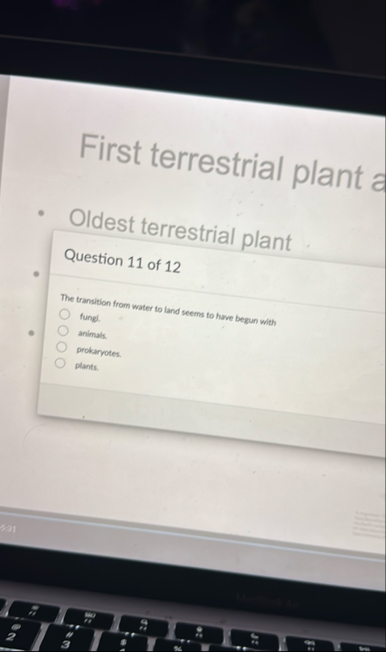 Solved First terrestrial plant aOldest terrestrial | Chegg.com