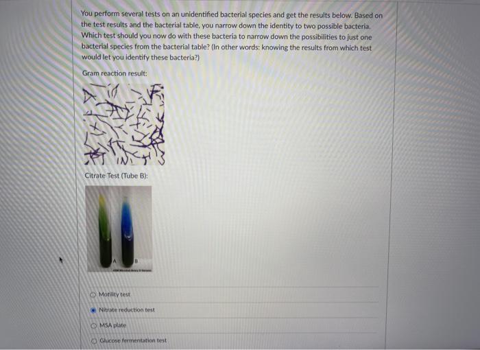 Solved You perform several tests on an unidentified | Chegg.com