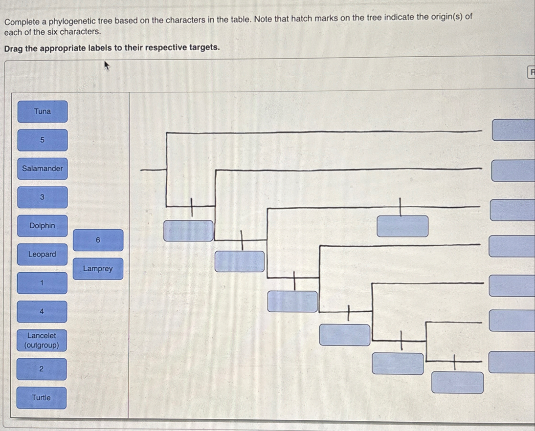 Solved Complete a phylogenetic tree based on the characters | Chegg.com