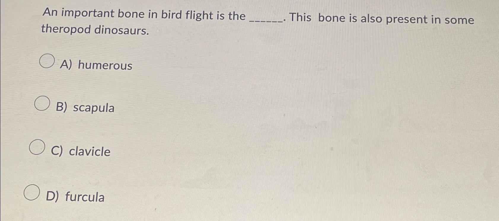 Solved An important bone in bird flight is the theropod | Chegg.com