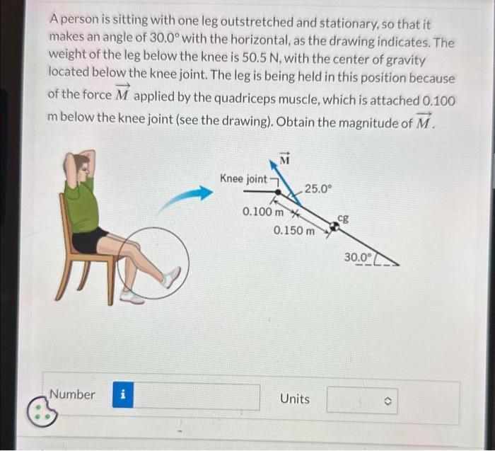 Solved A person is sitting with one leg outstretched and | Chegg.com