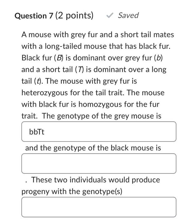 Solved Question 7 (2 points) Saved A mouse with grey fur | Chegg.com