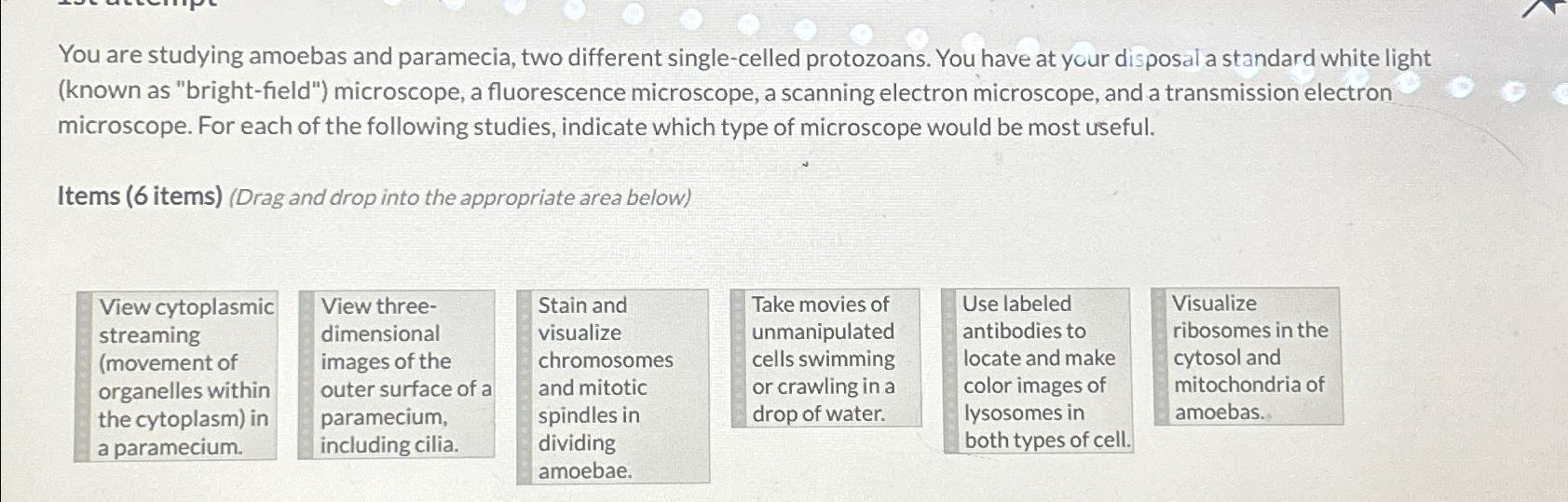 Solved You are studying amoebas and paramecia, two different | Chegg.com