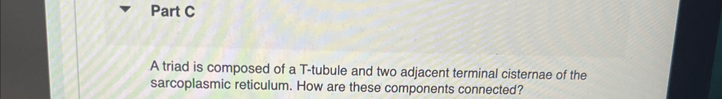 Solved Part CA triad is composed of a T-tubule and two | Chegg.com