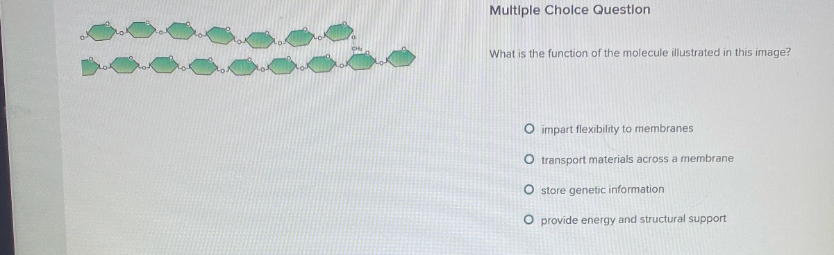 Solved Multiple Cholce QuestlonWhat is the function of the | Chegg.com