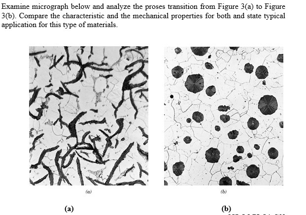 Solved Examine micrograph below and analyze the proses | Chegg.com