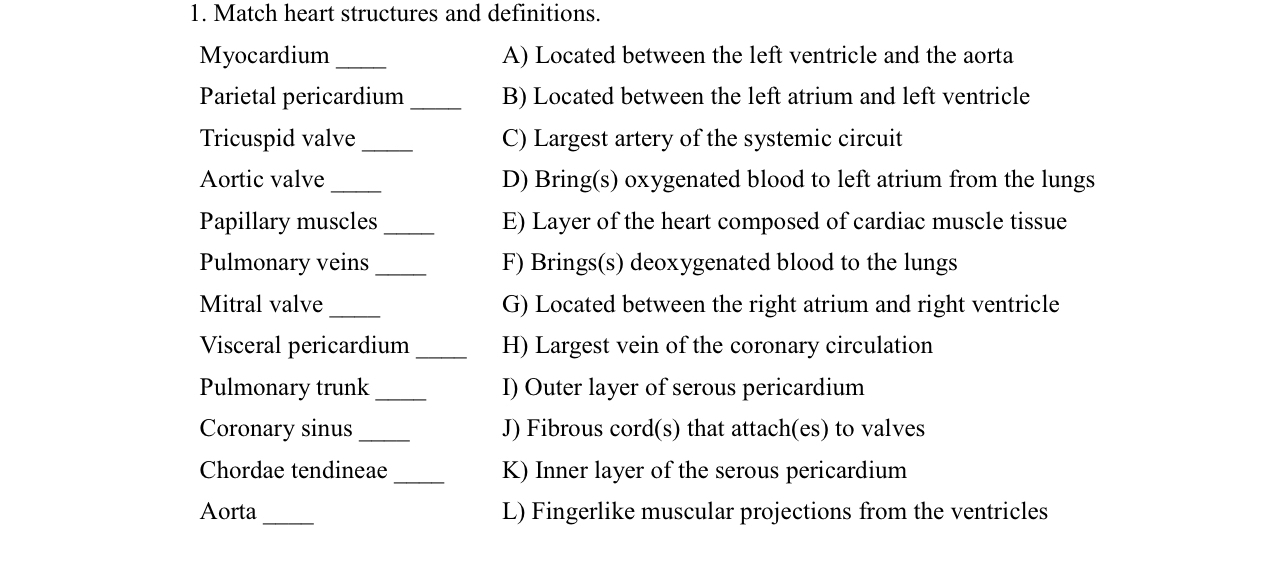 Solved Match heart structures and | Chegg.com