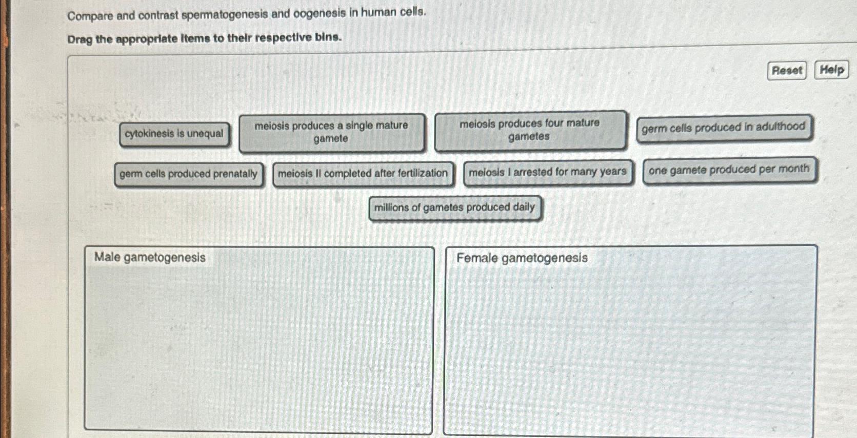 Solved Compare and contrast spermatogenesis and oogenesis in | Chegg.com