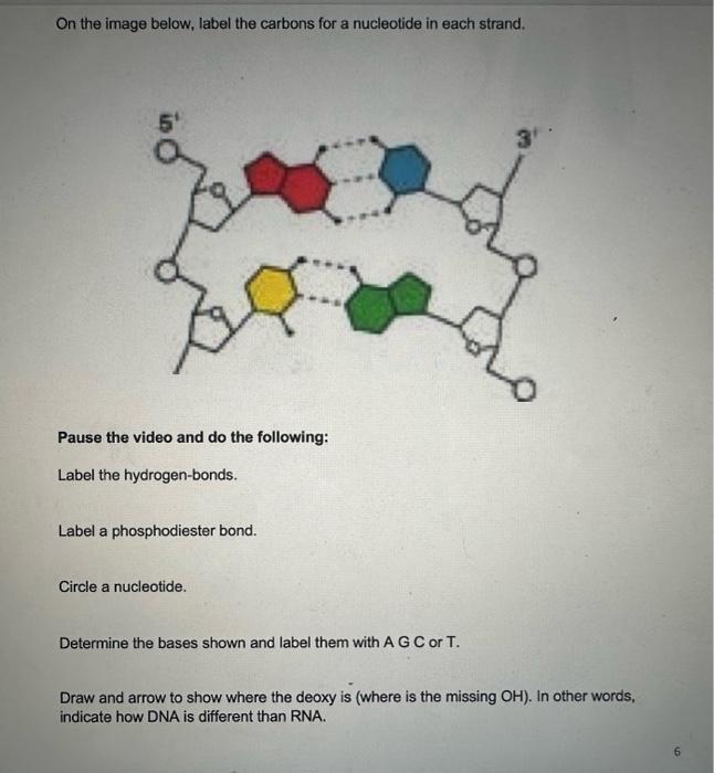 Solved On the image below, label the carbons for a | Chegg.com