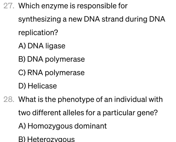 Solved Which enzyme is responsible for synthesizing a new | Chegg.com