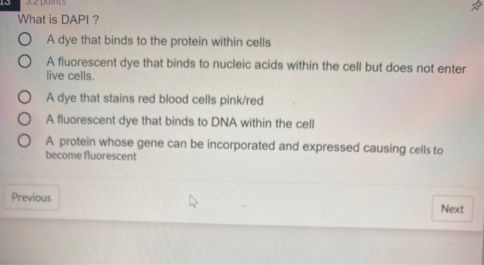 Solved to What is DAPI? O A dye that binds to the protein | Chegg.com