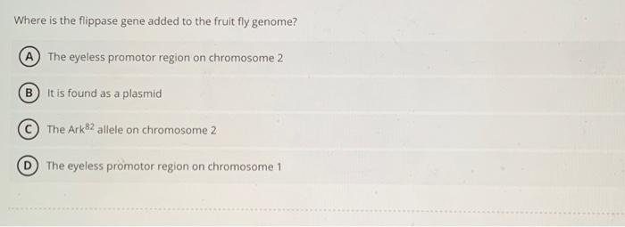 Solved Where is the flippase gene added to the fruit fly | Chegg.com