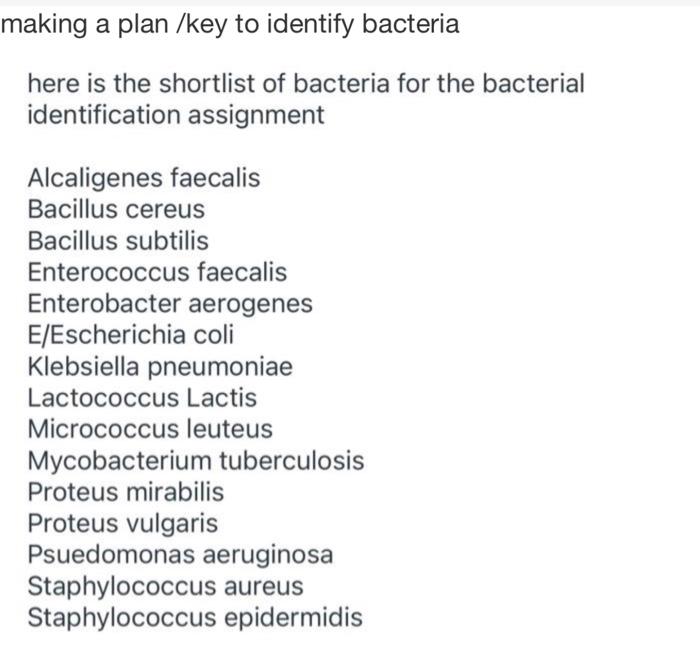 Solved making a plan /key to identify bacteria here is the | Chegg.com