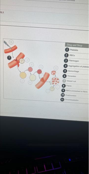 Solved blood cell | Chegg.com
