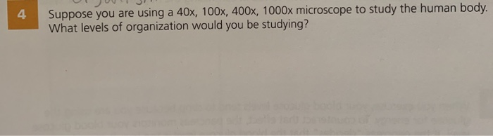 4 Suppose you are using a 40x, 100x, 400x, 1000x | Chegg.com