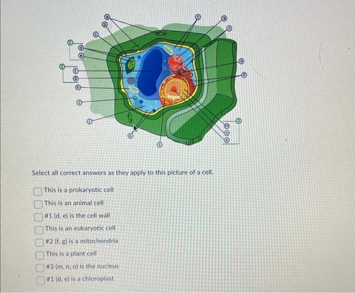 Solved Select all correct answers as they apply to this | Chegg.com