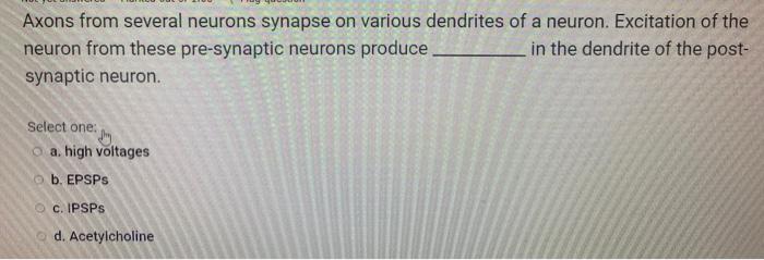 Solved Axons from several neurons synapse on various | Chegg.com