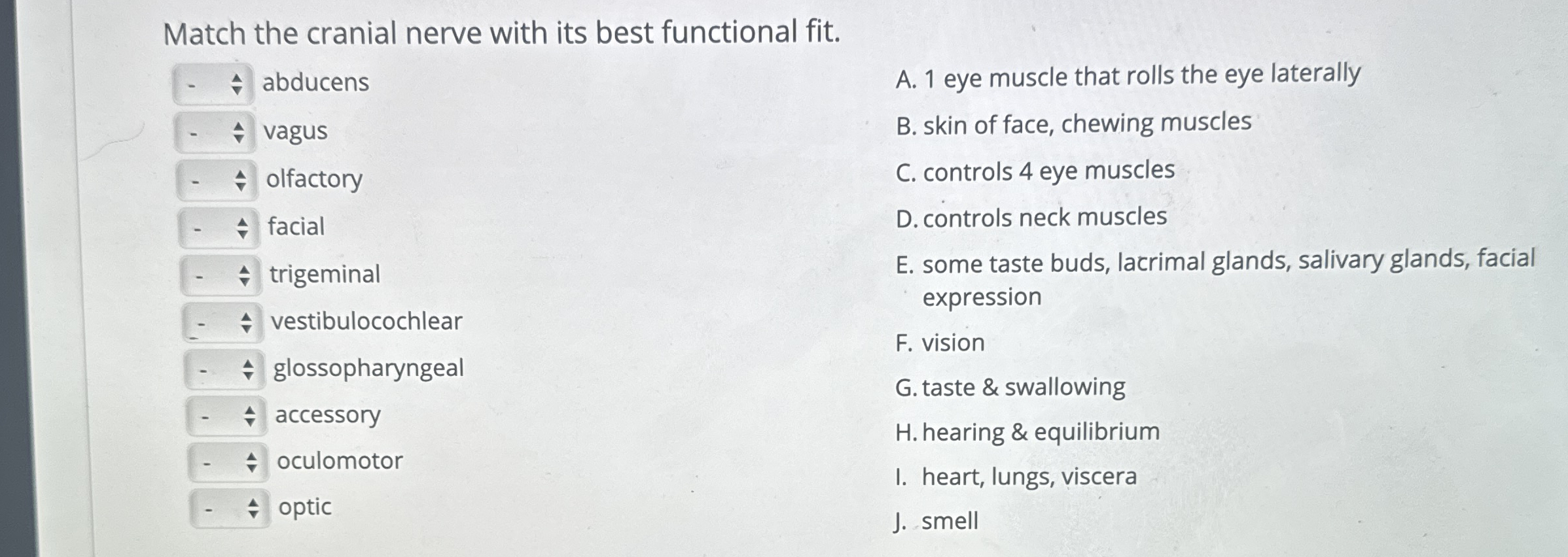 Solved Match the cranial nerve with its best functional | Chegg.com