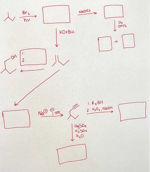 Solved Please help! I need to fill in the blanks with the | Chegg.com