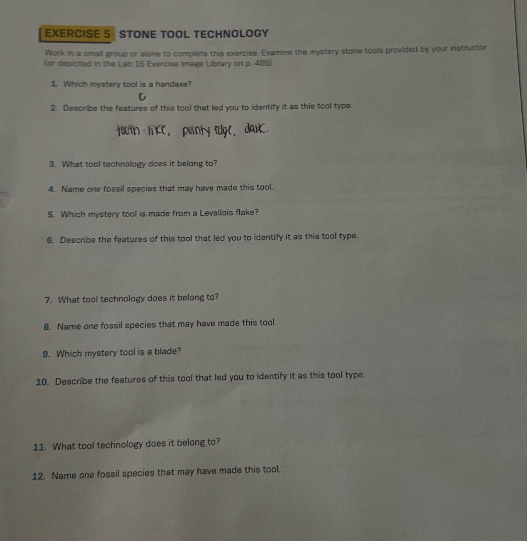 Solved STONE TOOL TECHNOLOGYWork in a small eroup or alone | Chegg.com