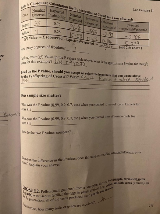 Solved 6: Chi-square Calcular ble 6: Number quare | Chegg.com