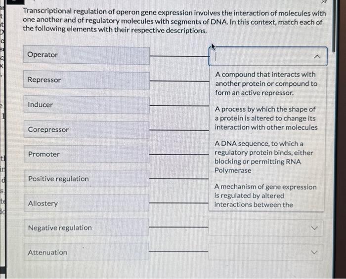 Solved Transcriptional regulation of operon gene expression | Chegg.com