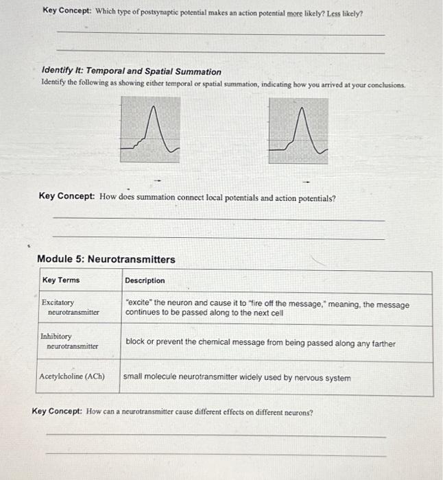 Solved Key Concept: Which type of postsynaptic potential | Chegg.com
