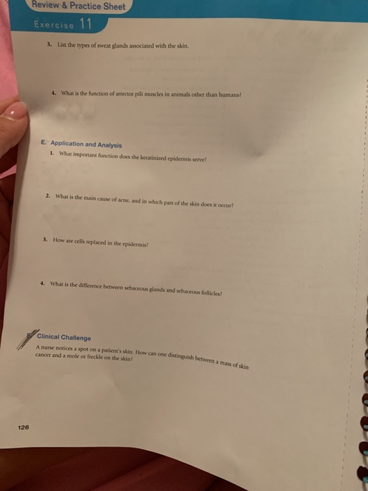 Solved Review & Practice Sheet Exercise 11 B. Matching Match | Chegg.com
