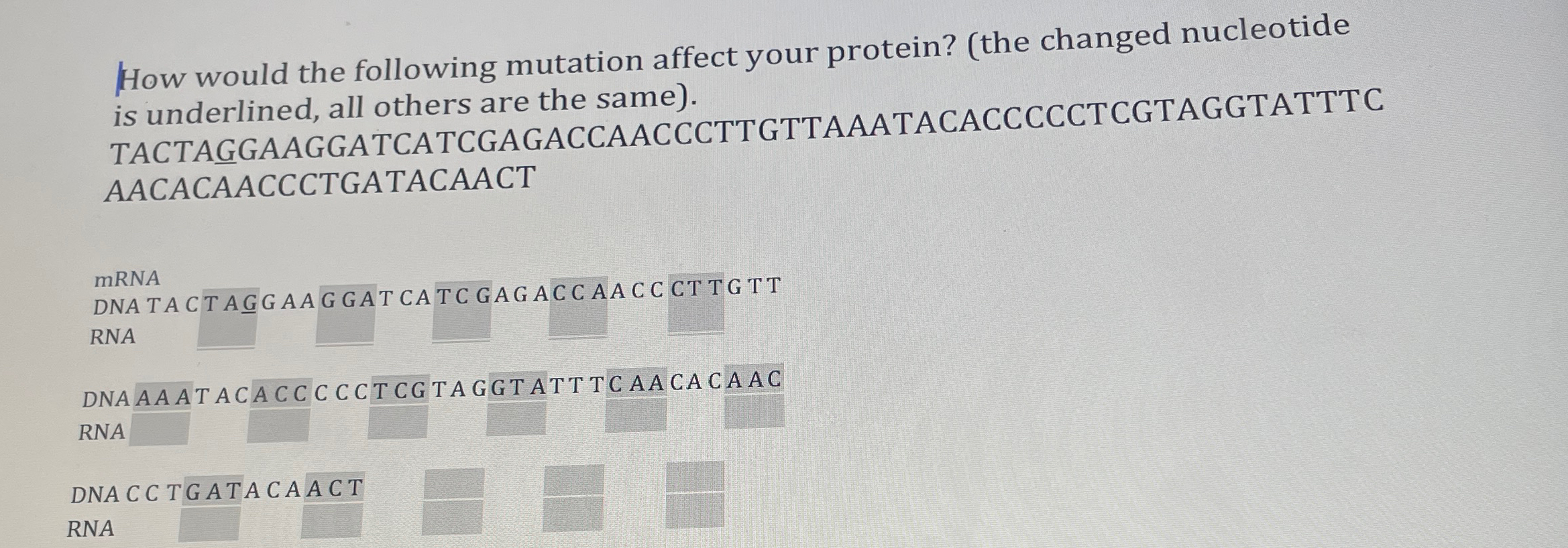 Solved How would the following mutation affect your protein? | Chegg.com