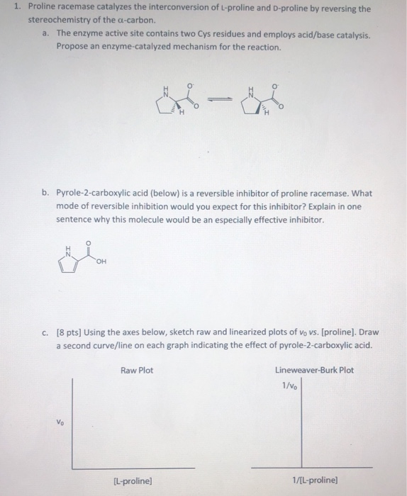 Solved 1. Proline racemase catalyzes the interconversion of | Chegg.com