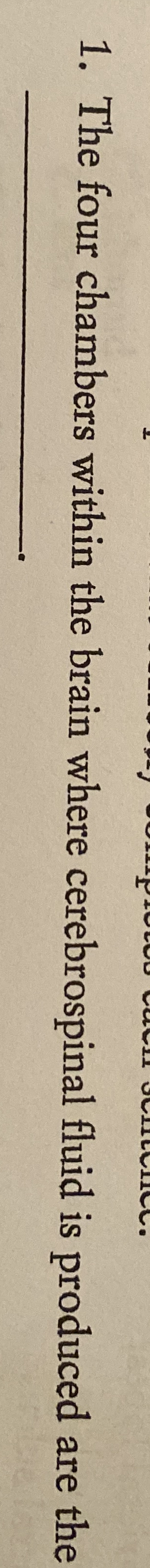 Solved The four chambers within the brain where | Chegg.com