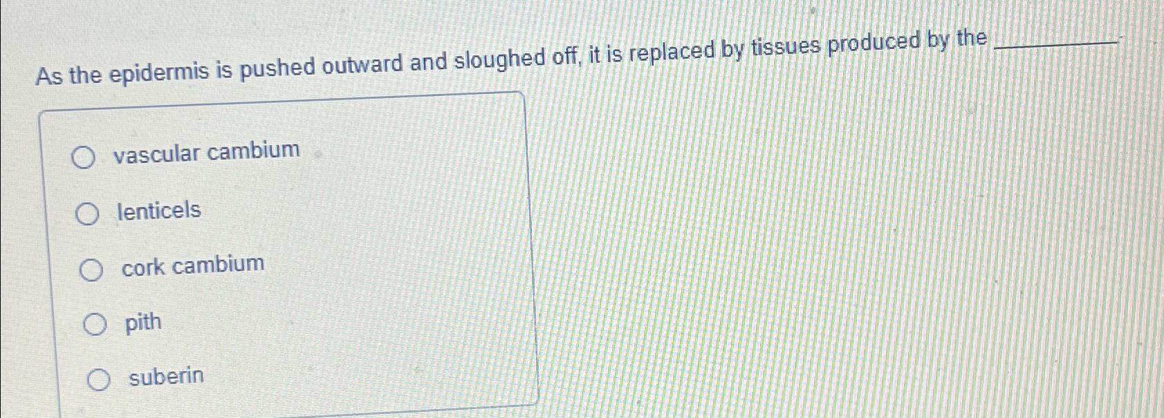 Solved As the epidermis is pushed outward and sloughed off, | Chegg.com